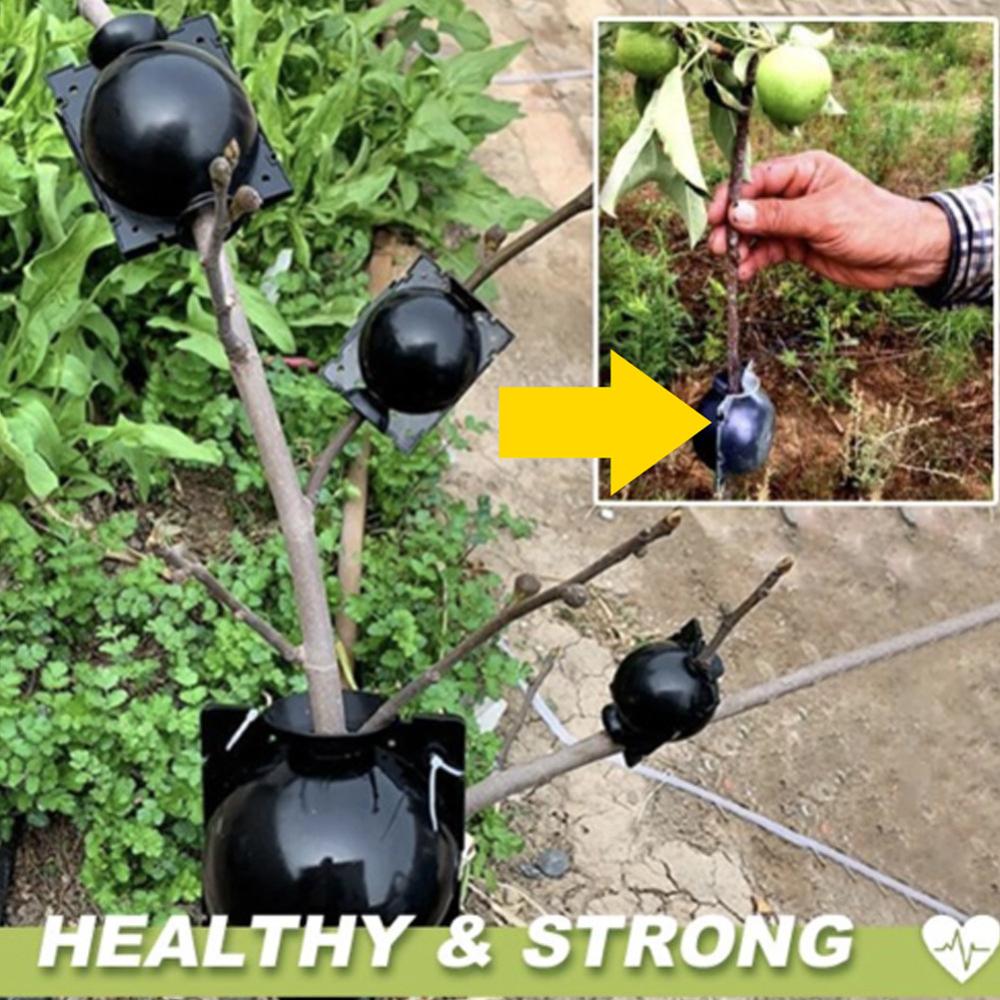 Plant High-pressure Propagation Box Grafting Rooti... – Vicedeal