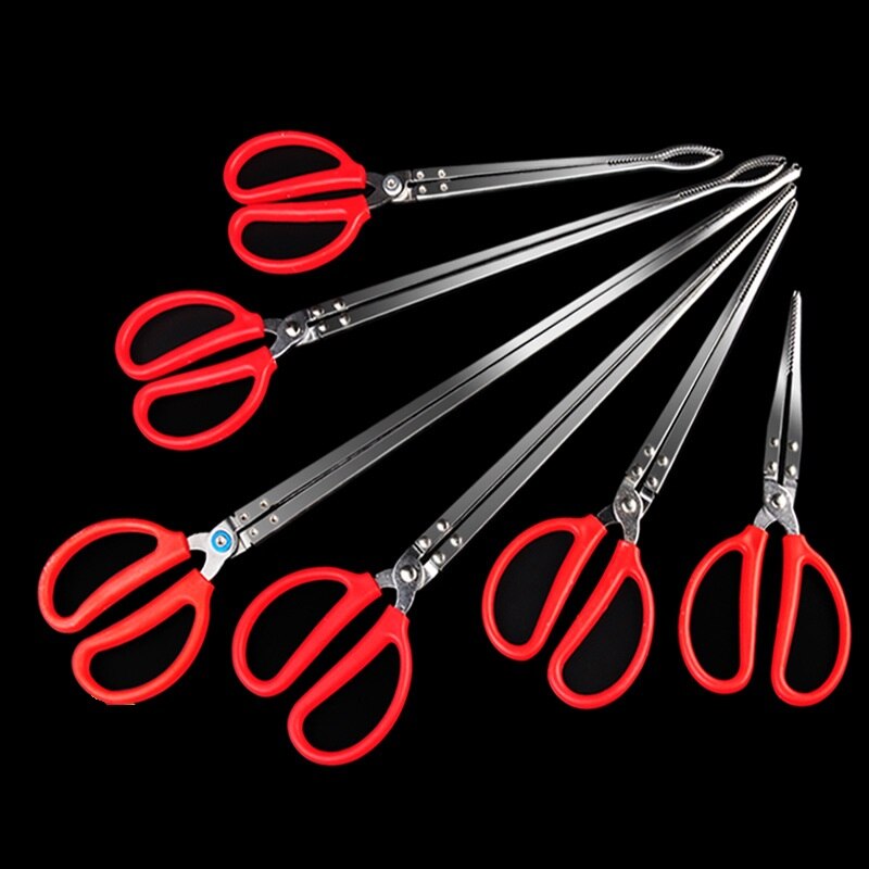 Stainless Steel Scissor Tongs Long Handle Seafood ... – Grandado