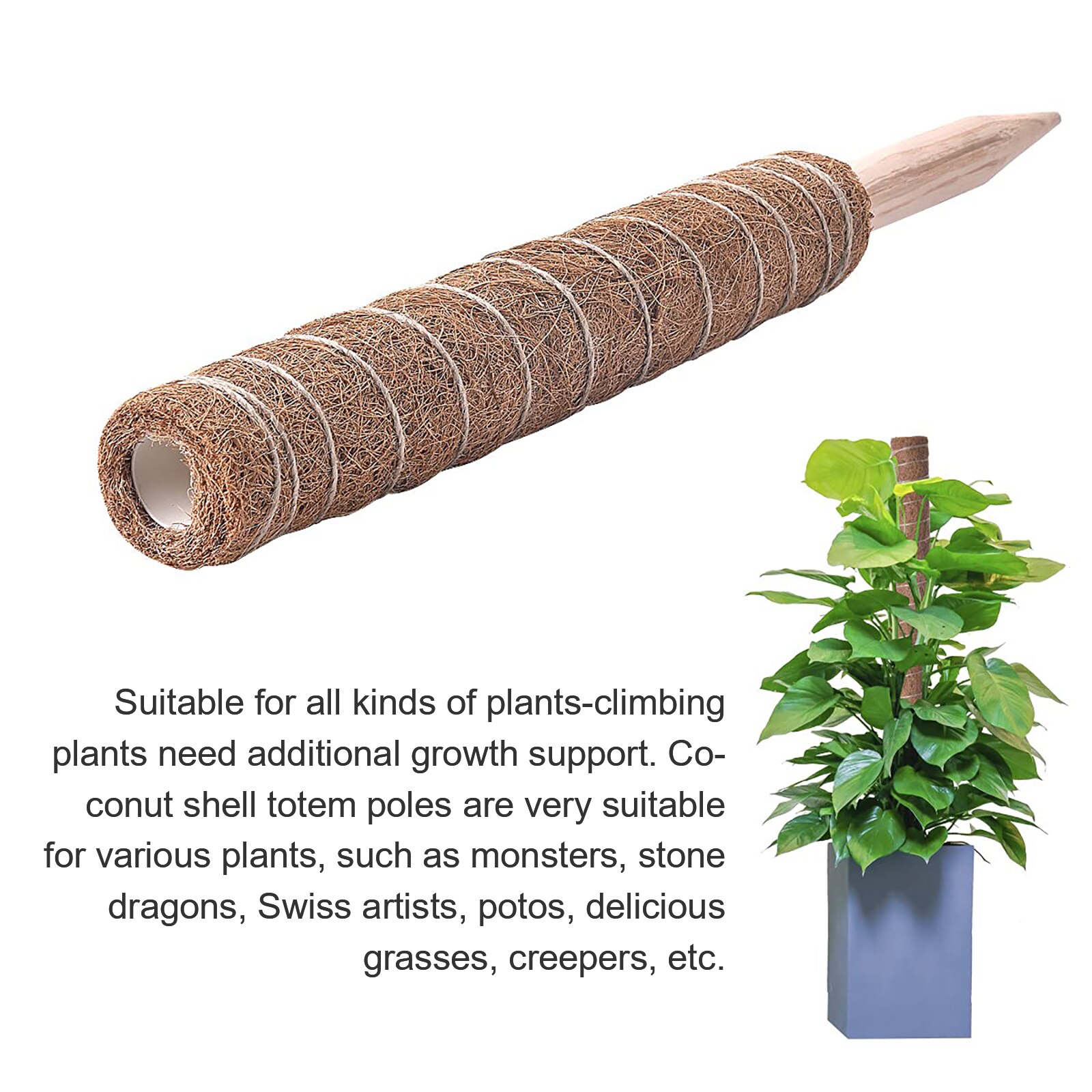 40cm Coconut Palm Stick Plant Climbing Frame Home ... – Grandado