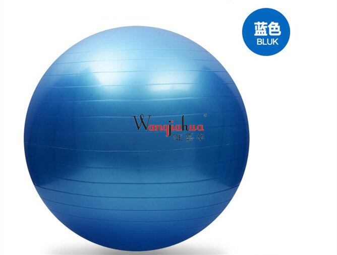 55 Cm Yoga Ball Sports Fitness Ball PVC Balance Ba... – Vicedeal