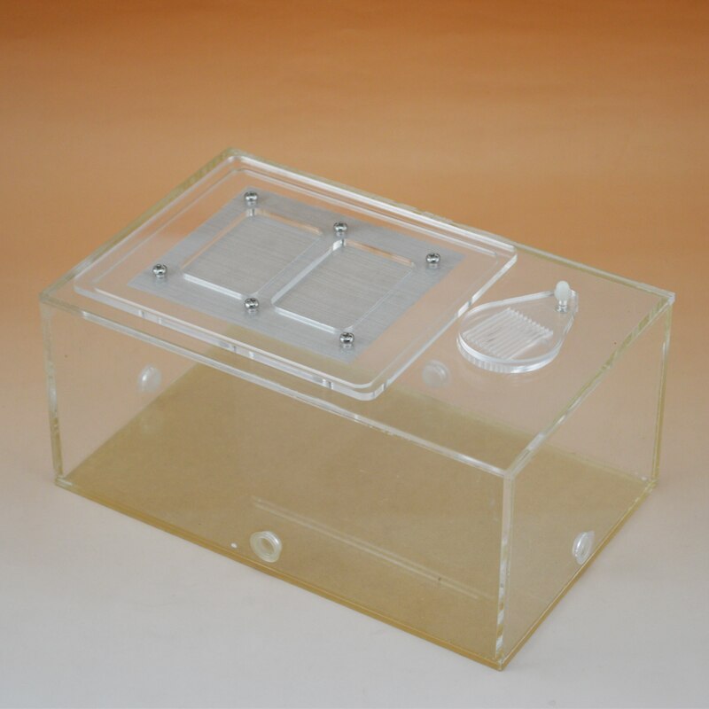 CWXTGS 1PCS acrylic cylinder feeding box reptile i... – Vicedeal
