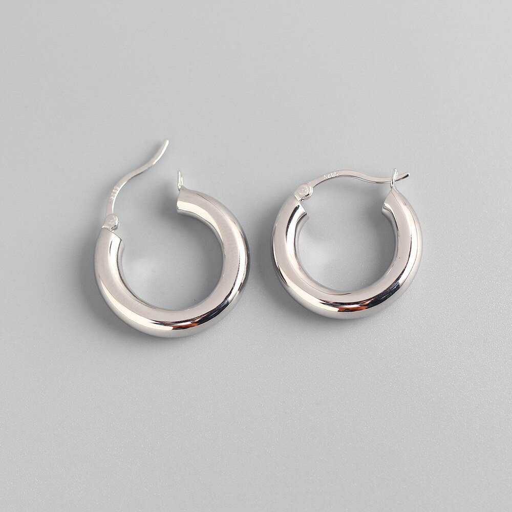 1pair Stainless Steel Hoop Earrings For Women 20/2... – Grandado
