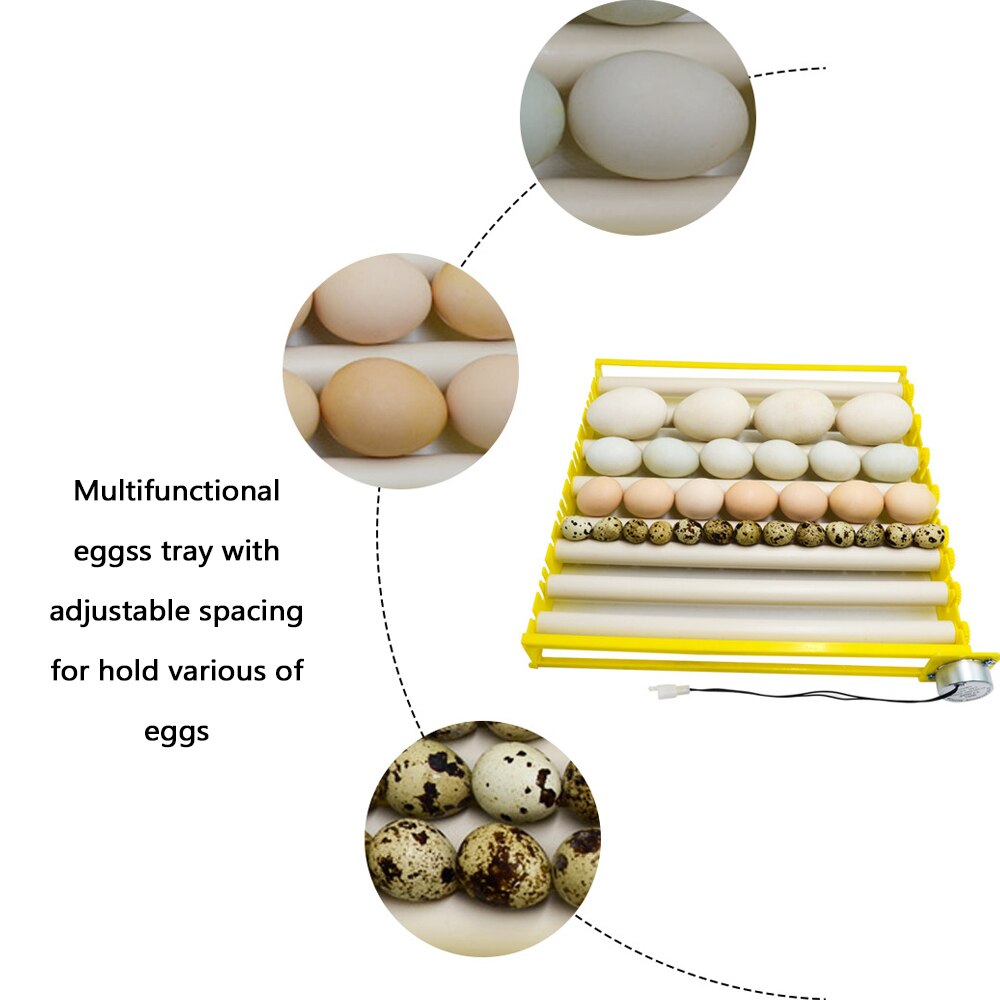 Household Tray Egg-Roller Turner Full Automatic In... – Grandado