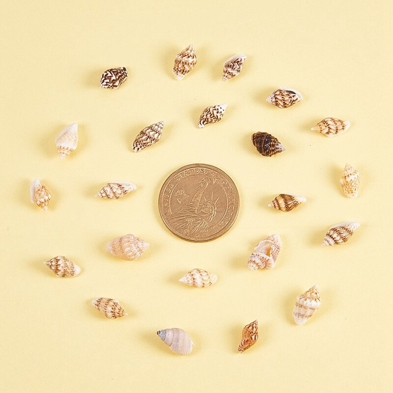 About 1300-1500 Tiny Sea Shell Ocean Beach Spiral ... – Grandado