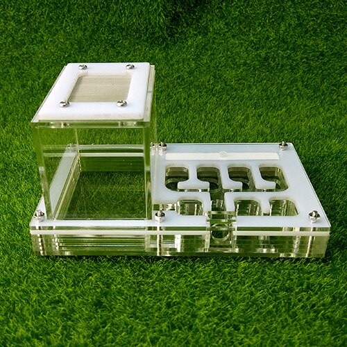 16*10*8.5cm Ant Housing Nest Insect Cage Farms Fee... – Grandado