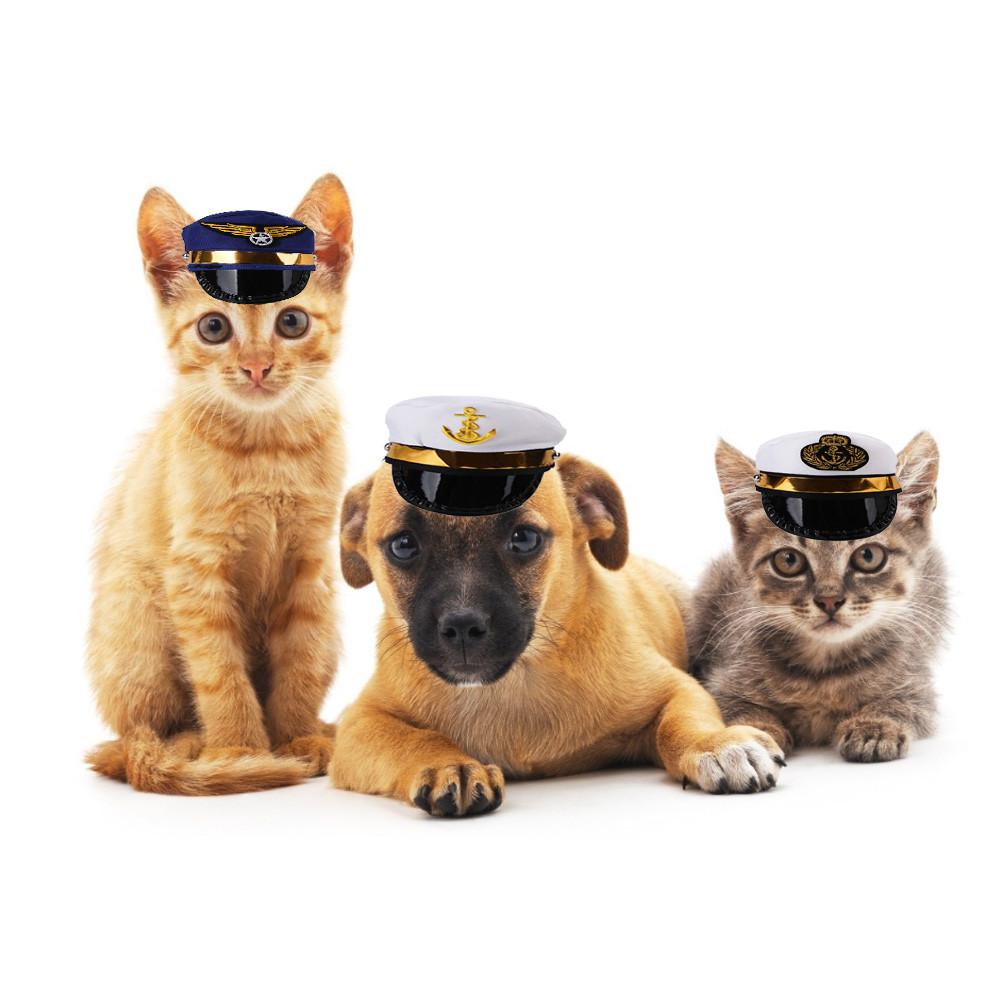 Hat sommer kæledyr hund kat hat kæledyr kostumer h... – Vicedeal