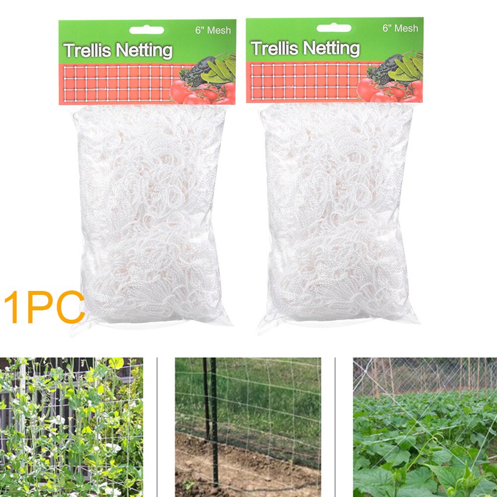 Garden Square Accessories Fruits Vegetables Grow P... – Grandado