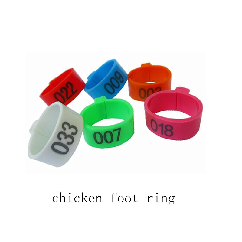 Kip Kip Duif 1.6 cm Voet Ringen Been Gevogelte Dui... – Vicedeal