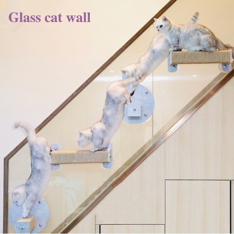 Sky Kat Muur Sucker Kat Klimrek Glas Kat Muur Punc... – Grandado