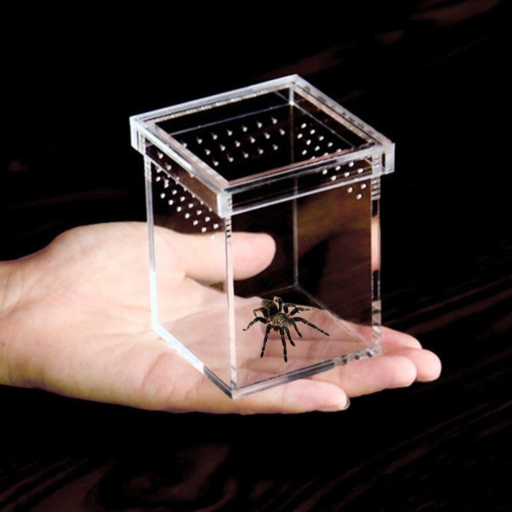 Plastic Reptiles Living Box Transparent Reptile Te... – Grandado