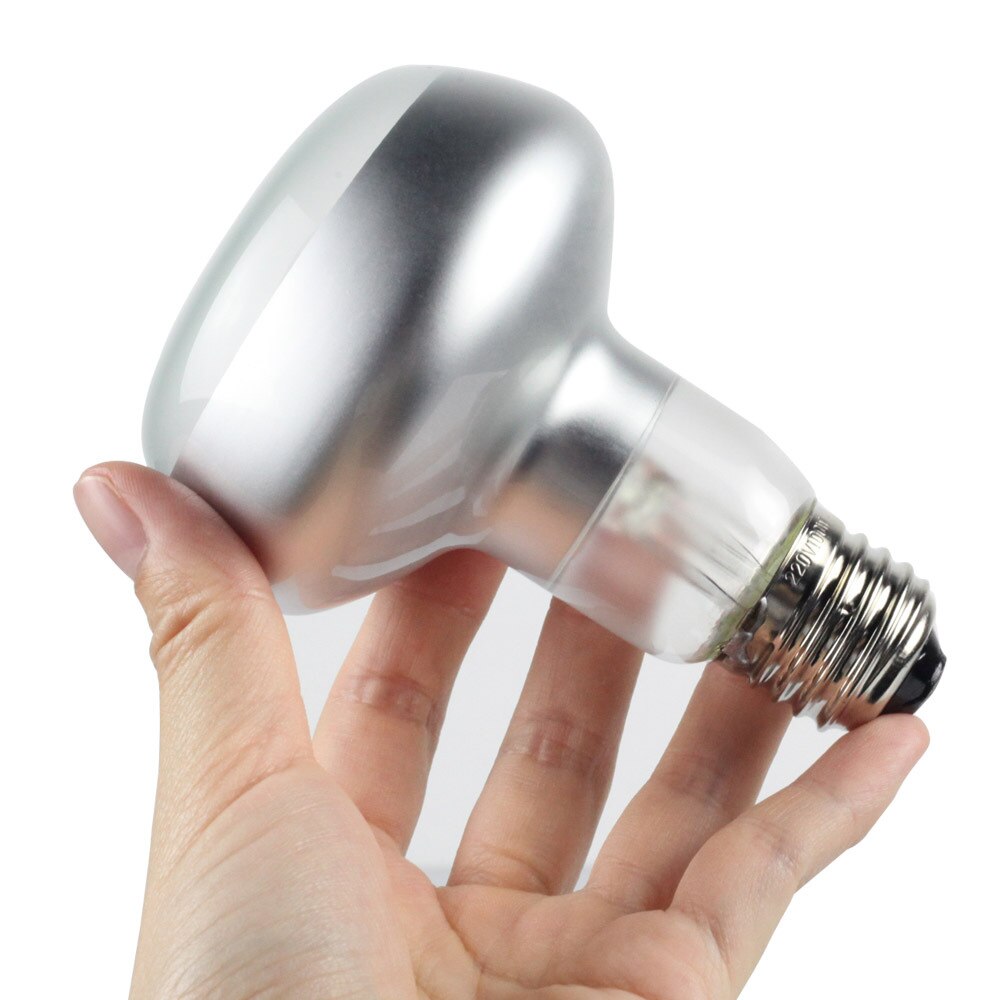 Bombilla de calefacción para mascotas, luz DR80, a... – Grandado