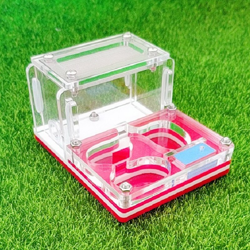 Mini Ant Farm Acryl Ant Nest Kleine Huisdier Voerb... – Vicedeal