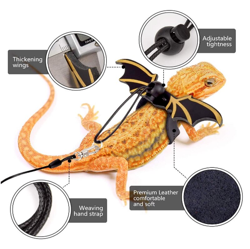 3PCS Adjustable Size Reptile Lizard Gecko Harness ... – Grandado