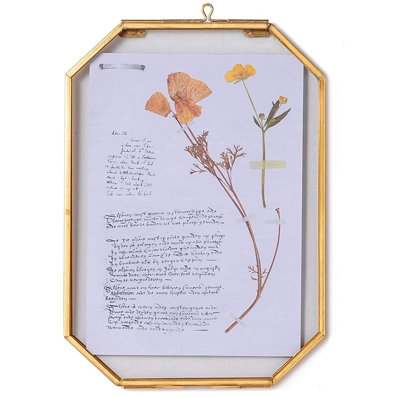 Wall-Mounted Octagonal Herb Museum Brass Glass Fra... – Grandado