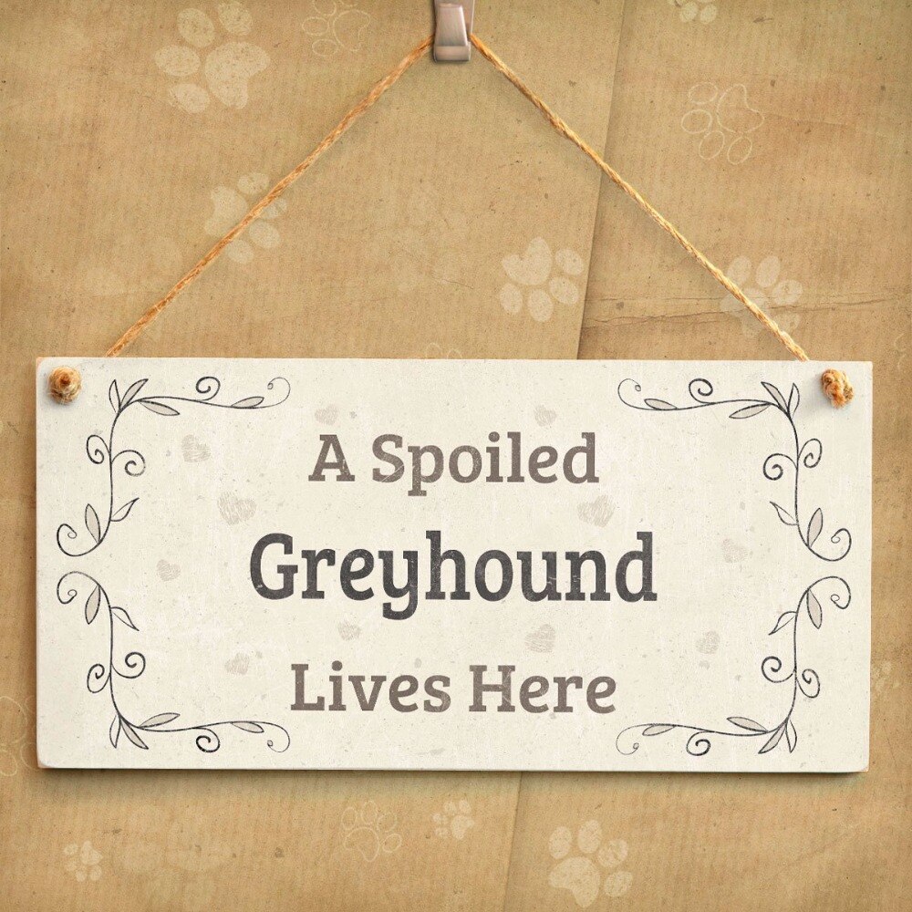 Meijiafei A Spoiled Greyhound Lives Here - Dog Hom... – Grandado