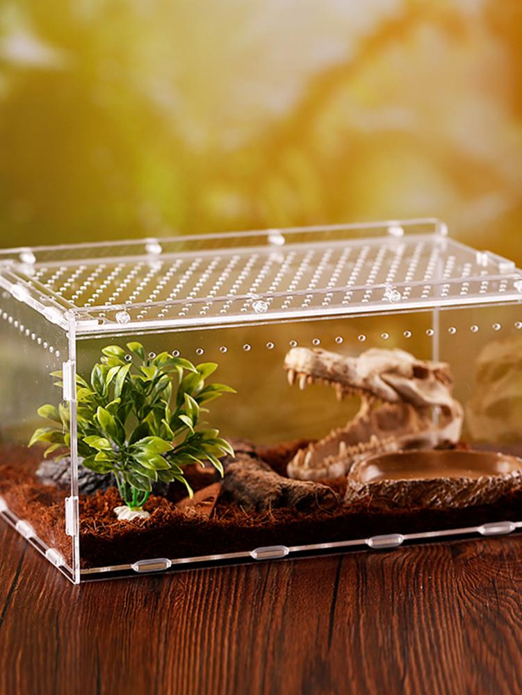 Acrylic Reptile Breeding Box Transparent Panoramic... – Grandado