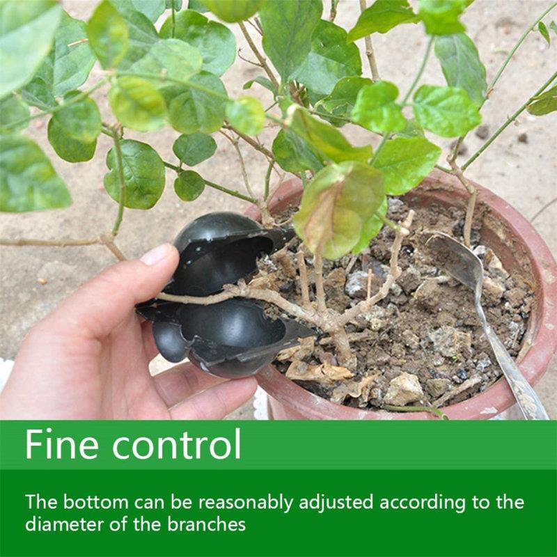3 Sizes Plant Rooting Ball Grafting Rooting Growin... – Grandado