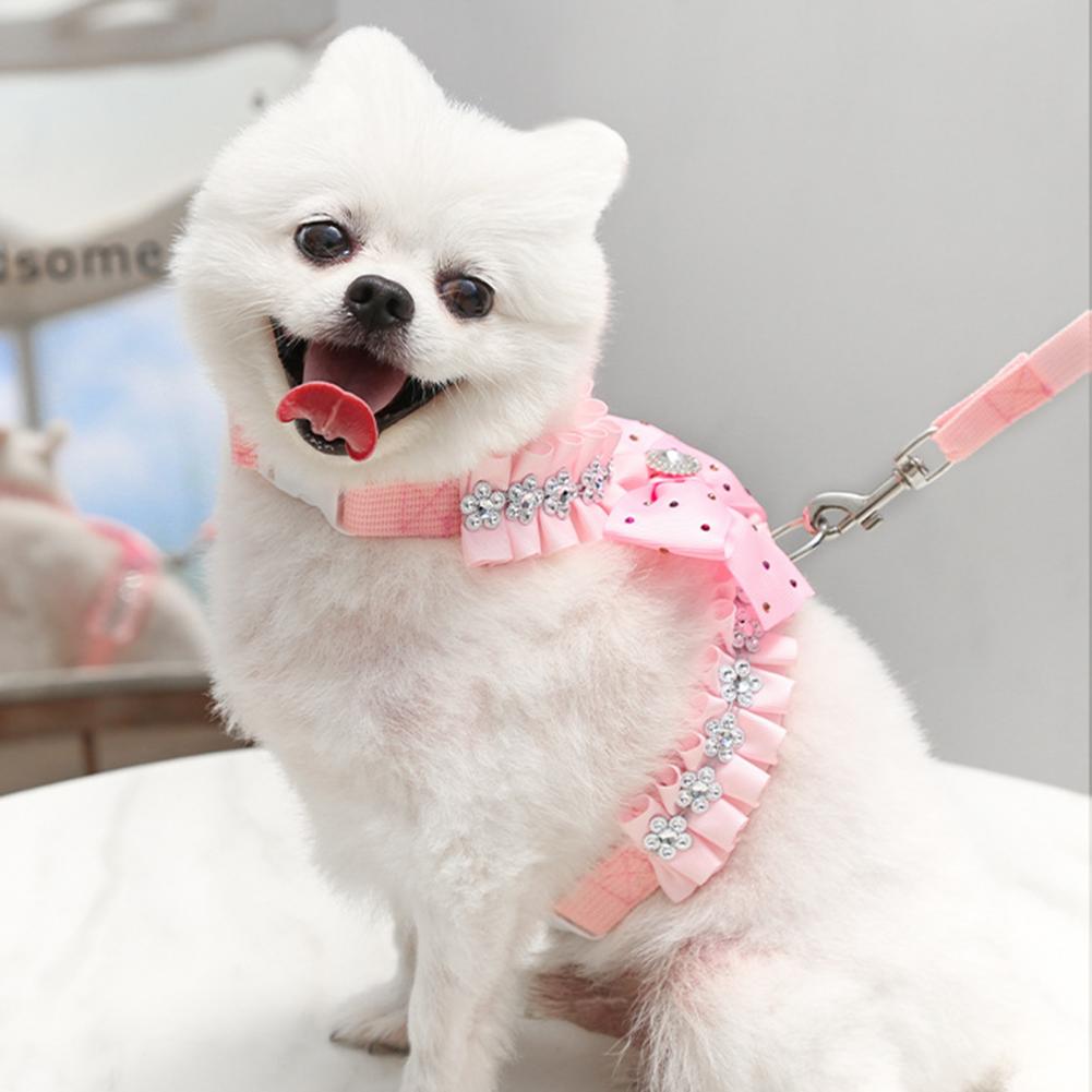 Chest Strap Traction Leash for Pet Adjustable Trai... – Vicedeal