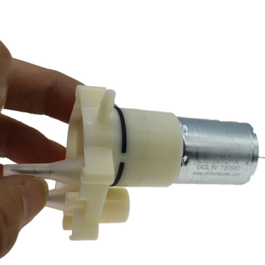 Double Needle Micro Diaphragm Pump Dc 3-6v Water P... – Grandado