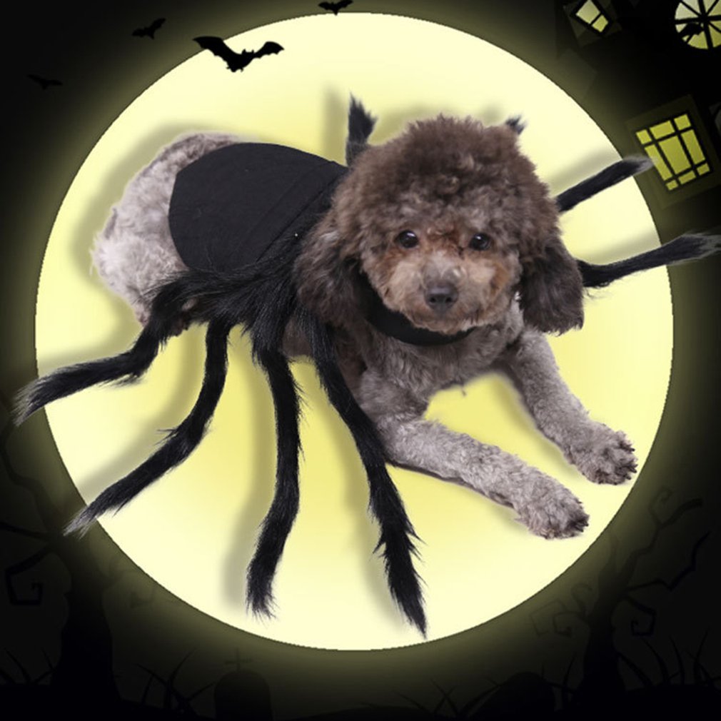 Halloween pet spider clothes Carnival Pet Festival... – Grandado