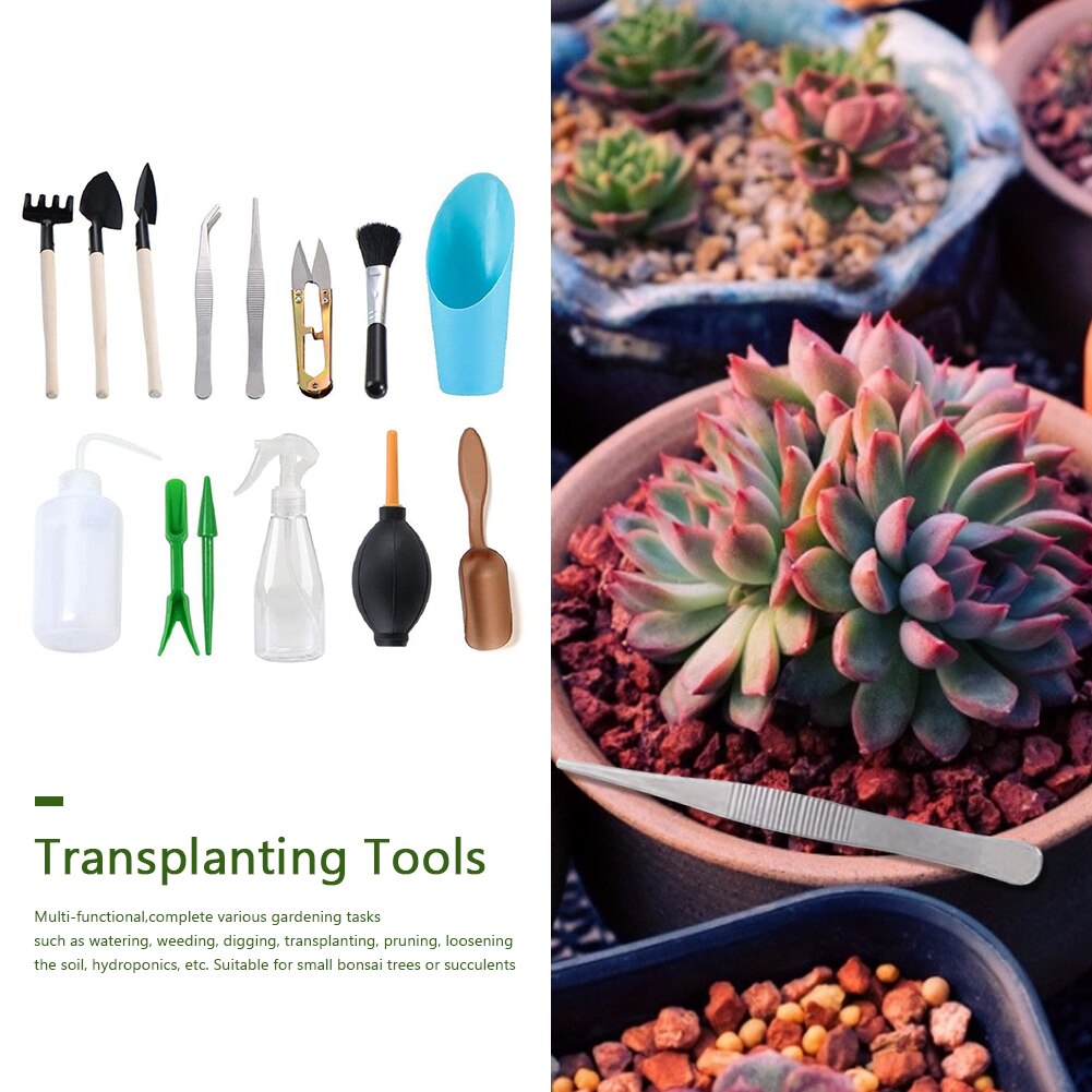 14pcs Garden Planter Kit Succulent Planting Seedli... – Grandado