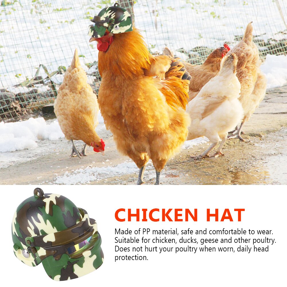 Pet Chicken Bird Helmet Smash Proof Poultry PP Saf... – Vicedeal