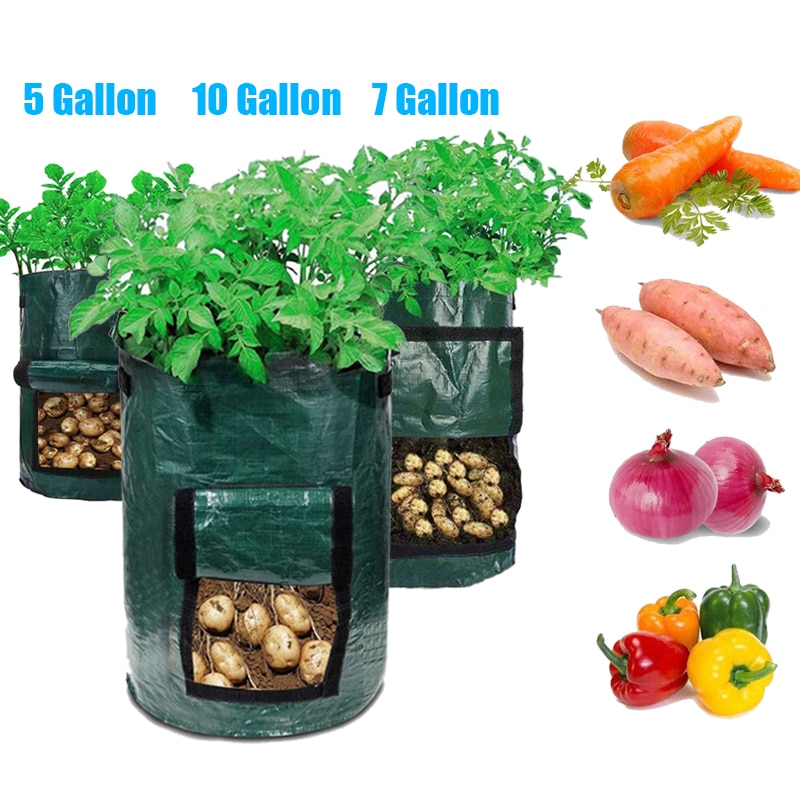 5 7 10 Gallon Potato Grow Container Bag DIY Plante... – Grandado