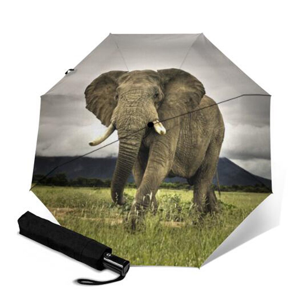 Unique Parasol Umbrella Folding Automatic Umbrella... – Vicedeal