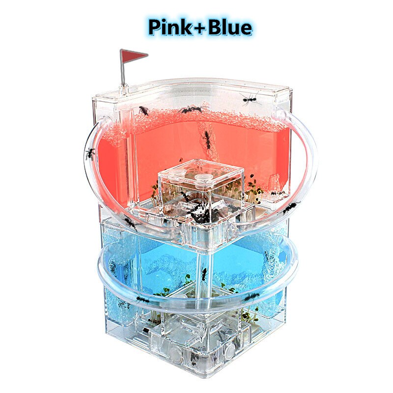 Double layer DIY Acrylic Ant Farm Underground Ant ... – Vicedeal