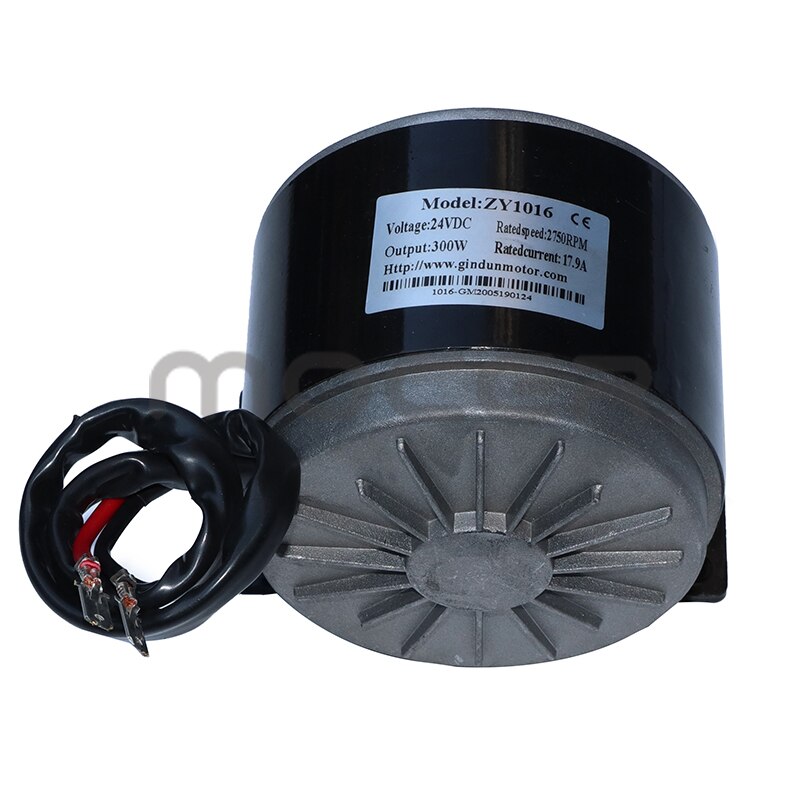 300w Dc 24v 2650RPM DC brush motor brush motor for... – Grandado