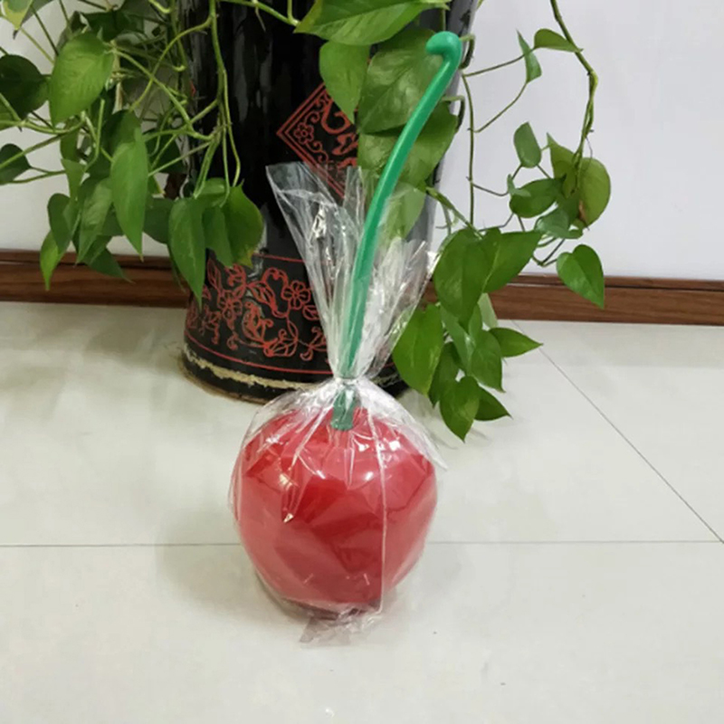 Toilet Brush and Holder Cherry Shape Wc Toilet Bru... – Grandado