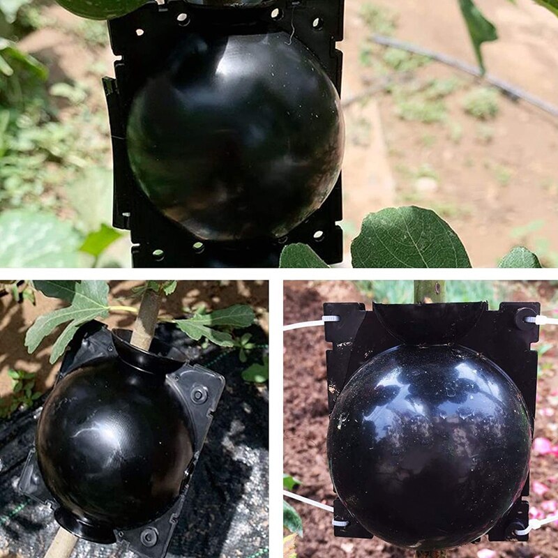 15PCS Reusable Plant Rooting Equipment Kit-High Pr... – Vicedeal