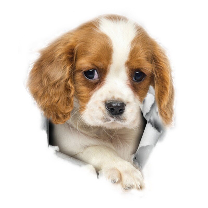 3D Wc Sticker Grappig Simulatie Dier Hond Diy Livi... – Vicedeal
