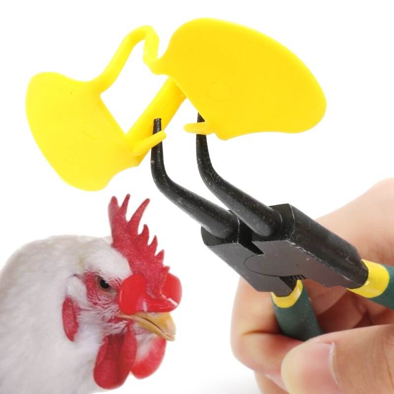 20pc Yellow Pinless No Pin Bolt Chicken Peepers Ey... – Grandado