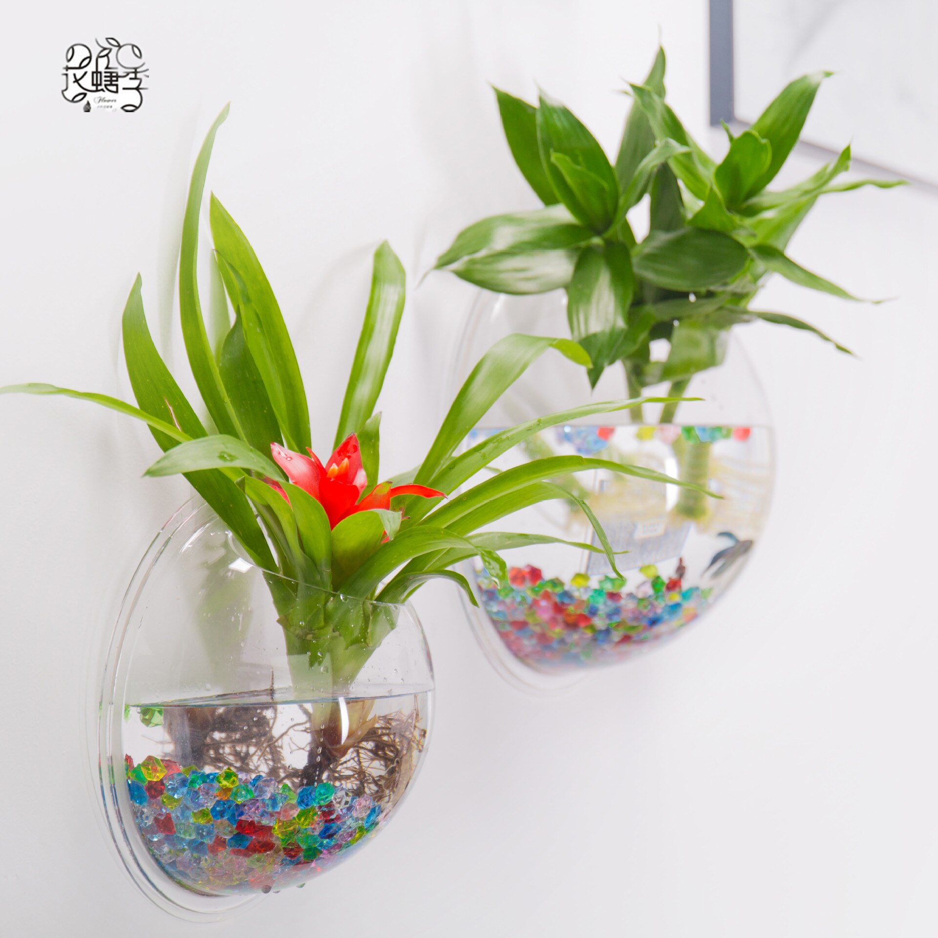 Wall-Mounted Fish Tank Wall-Mounted Vase Flower Po... – Vicedeal