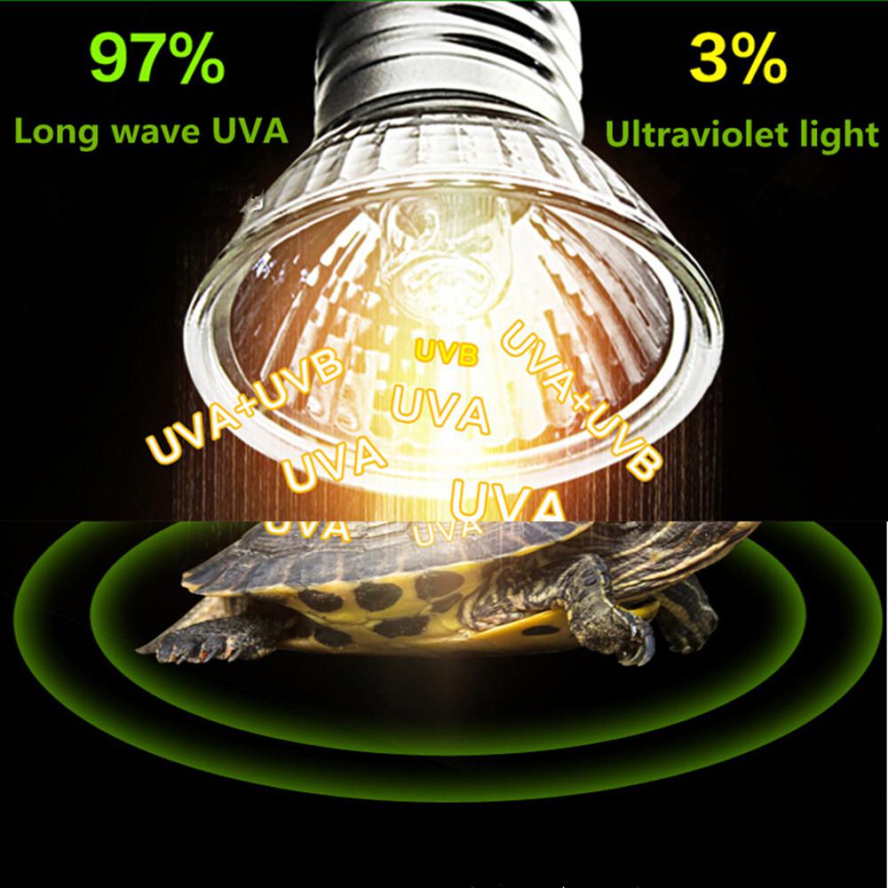 E27 UVB+UVB 3.0 Reptile Lamp Bulb Turtle Basking U... – Grandado