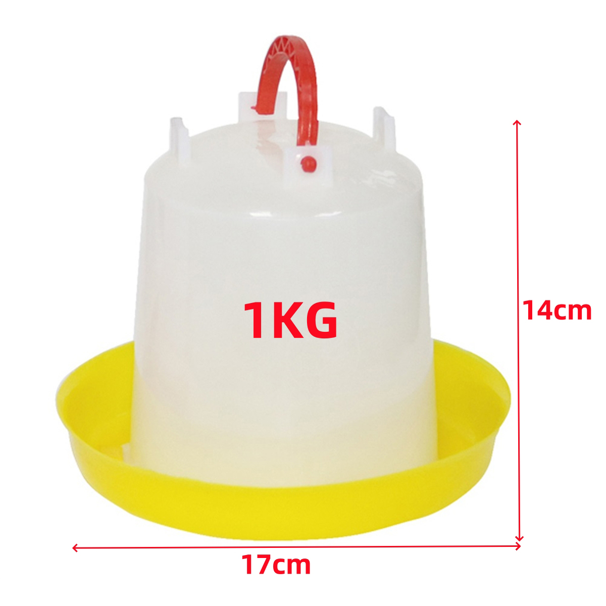 1KG Chicken Automatic Water Bucket Quail Pigeon Dr... – Grandado