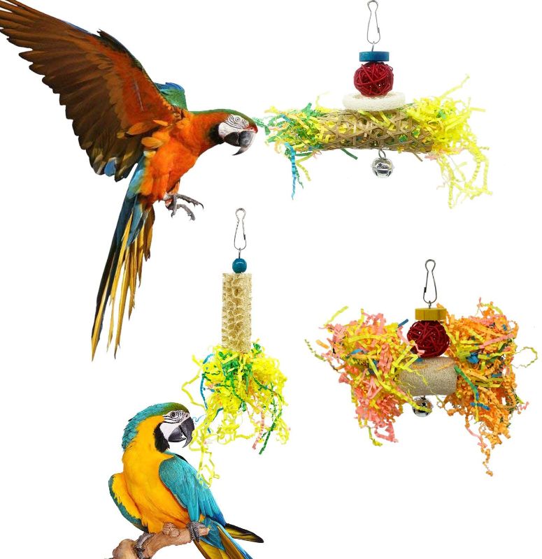 5Pcs Bird Parrot Shredding Toys Chewing Foraging H... – Grandado