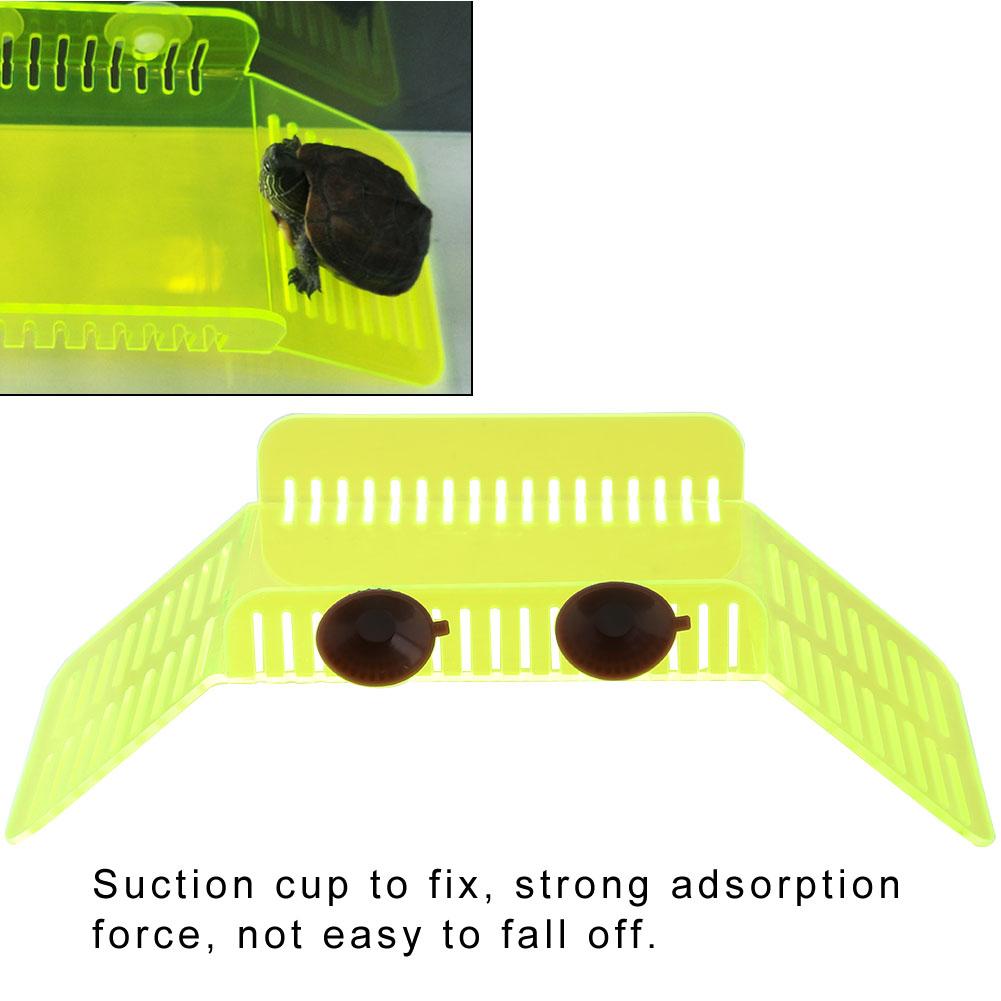 Reptile Tortoise Basking Platform Decoration Torto Grandado