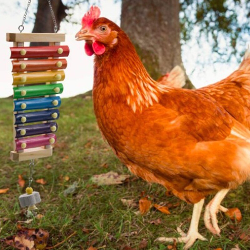 2 Pcs Chicken Toys Suspensible Xylophone With 8 Me... – Grandado