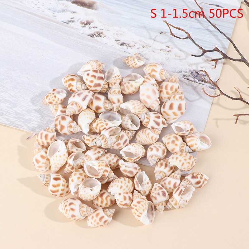 50Pcs Natuurlijke Shell Aquarium Landschap Decorat... – Vicedeal