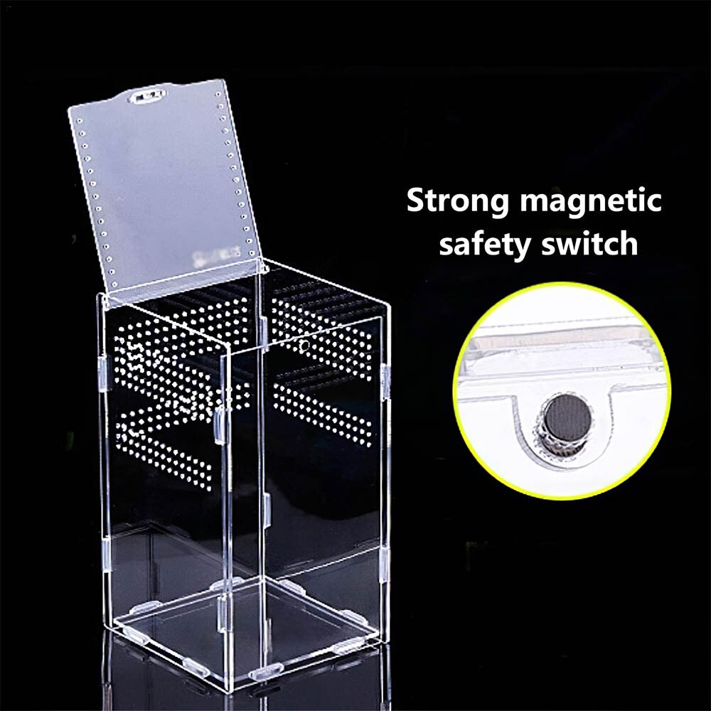 Insect Feeding Box Acrylic Reptile Feeding Box Tra... – Grandado