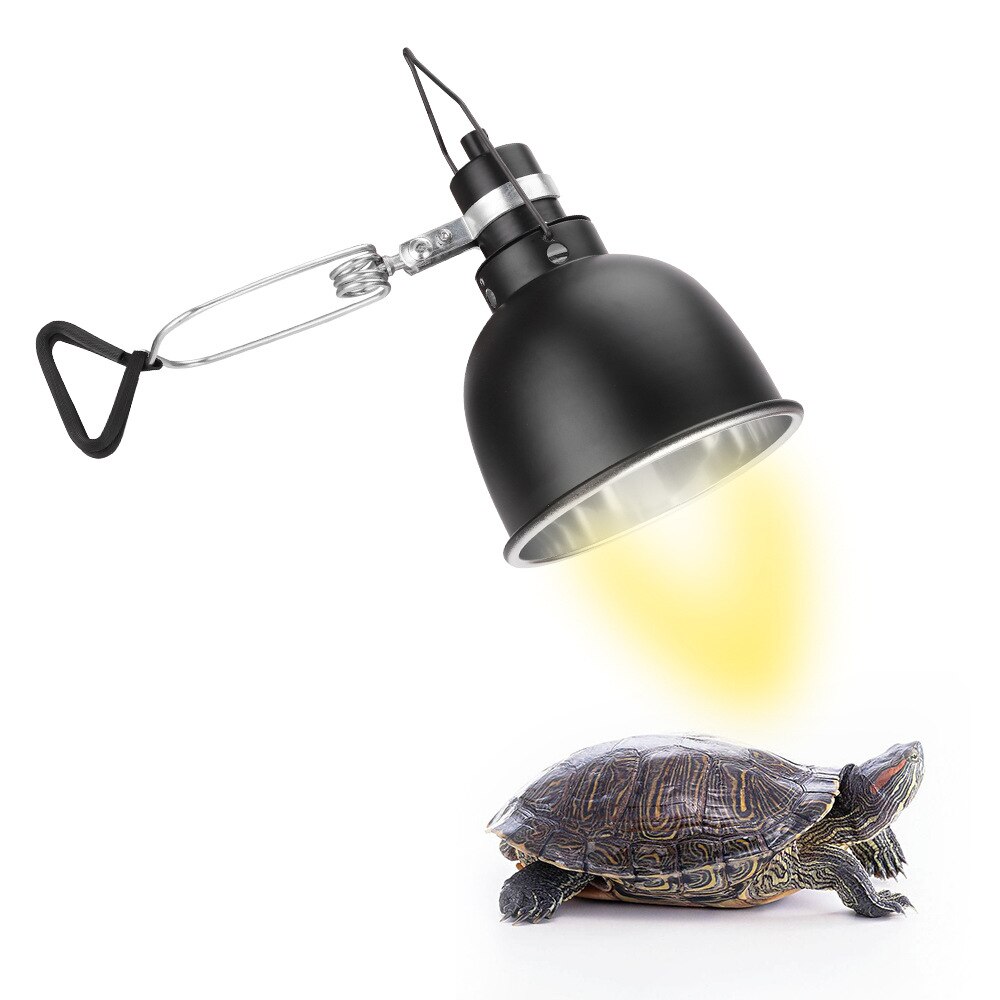 25/50/75W Reptile Lamp Pet Heat Lamp Bulb Turtle B... – Vicedeal