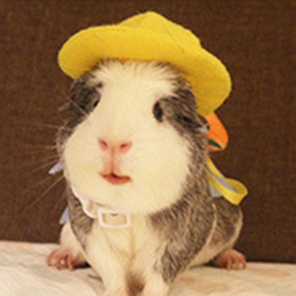 Guinea Pig Hat Lovely Shape Pet Costume Hamster Ha... – Vicedeal