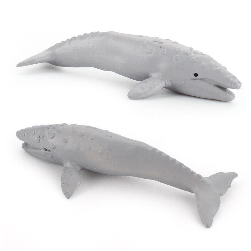 Model Oceanen Dier Spot Dolfijn Hammerhead Shark D... – Grandado