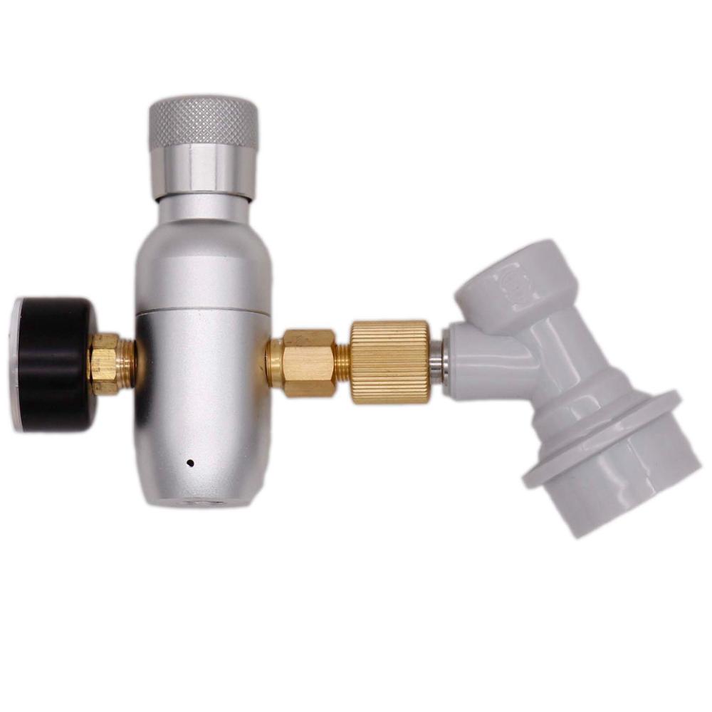 304 Stainless Steel Mini Keg Tap Dispenser with Pl... – Grandado