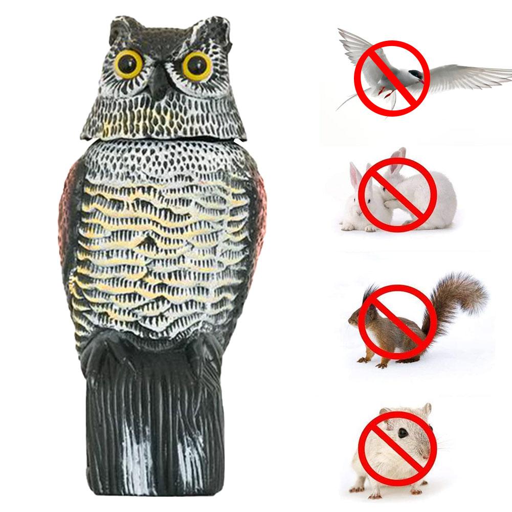 Realistic Bird Scarer Rotating Head Sound Owl Prow... – Grandado