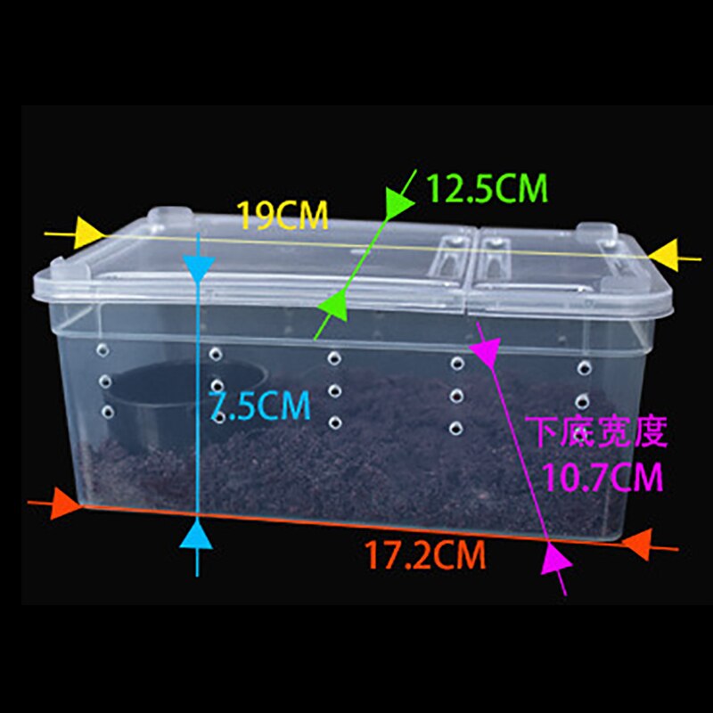5pcs Reptile Feeding Box Transparent Plastic Box R... – Grandado