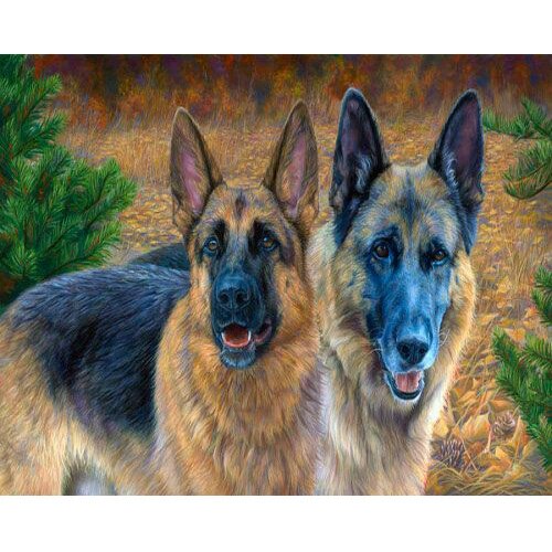 The Painting By Numbers Dog Kits Acrylic Paint On ... – Grandado