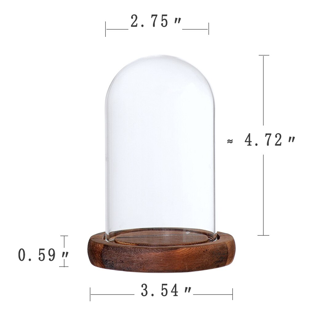 Glass Cover Dome Container with Base for Flower Ro... – Grandado